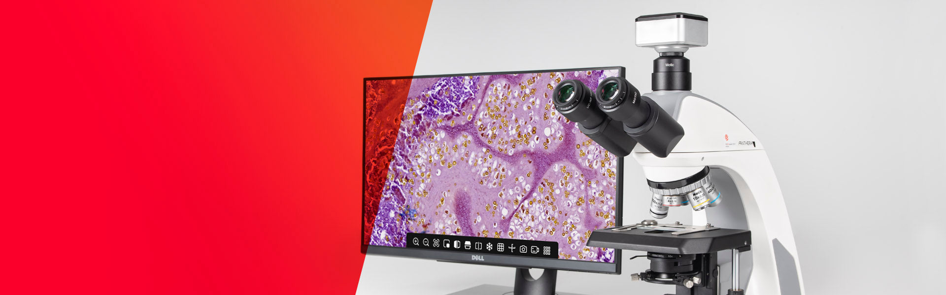OBJETIVOS – Microscopios Profesionales