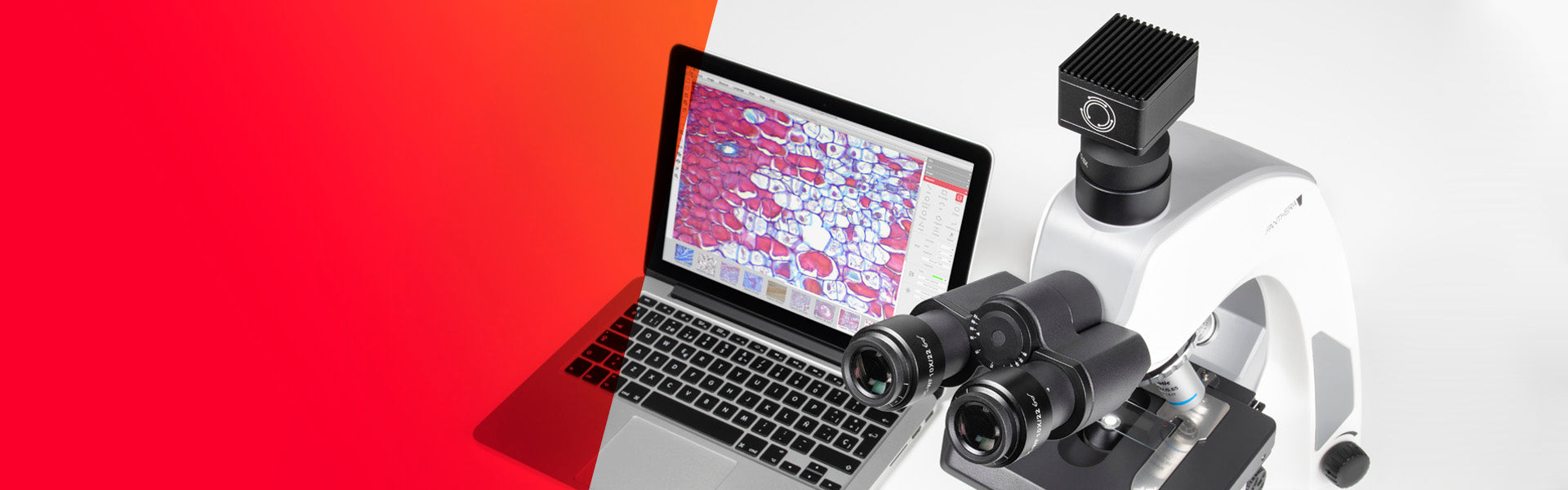 Ofertas del Mes – Microscopios Profesionales